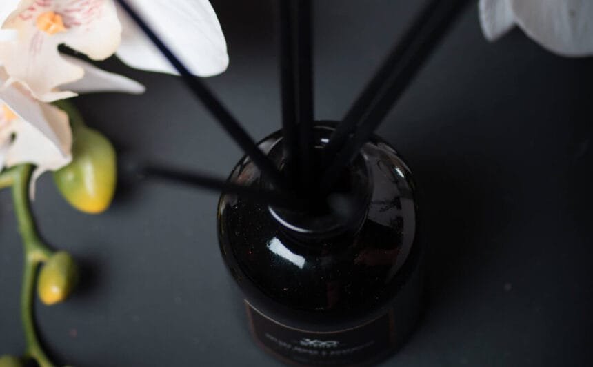 Top Diffuser Scent Trends to Refresh 2026 Spaces